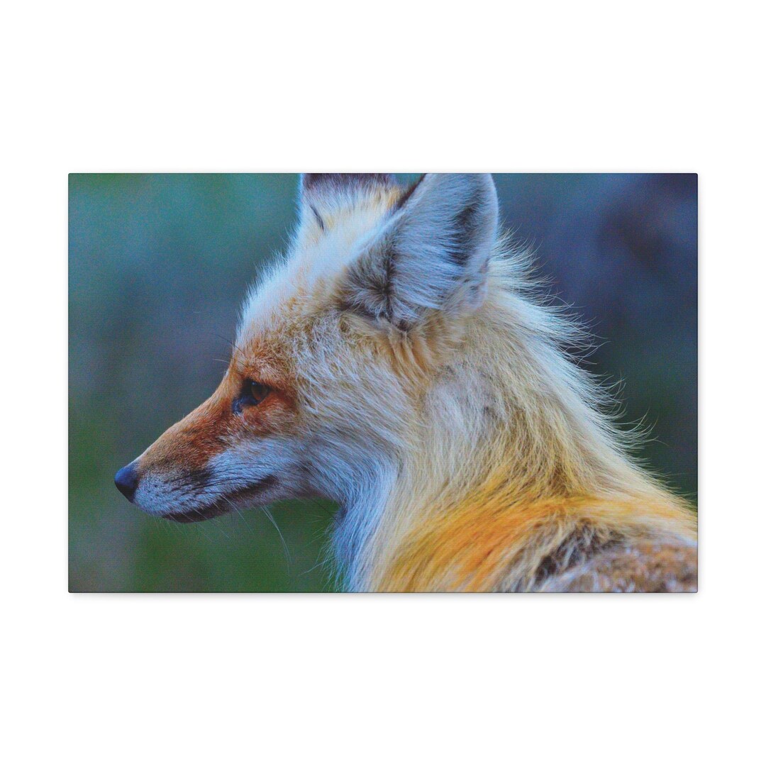 Bright Orange Fox Canvas Print - Etsy