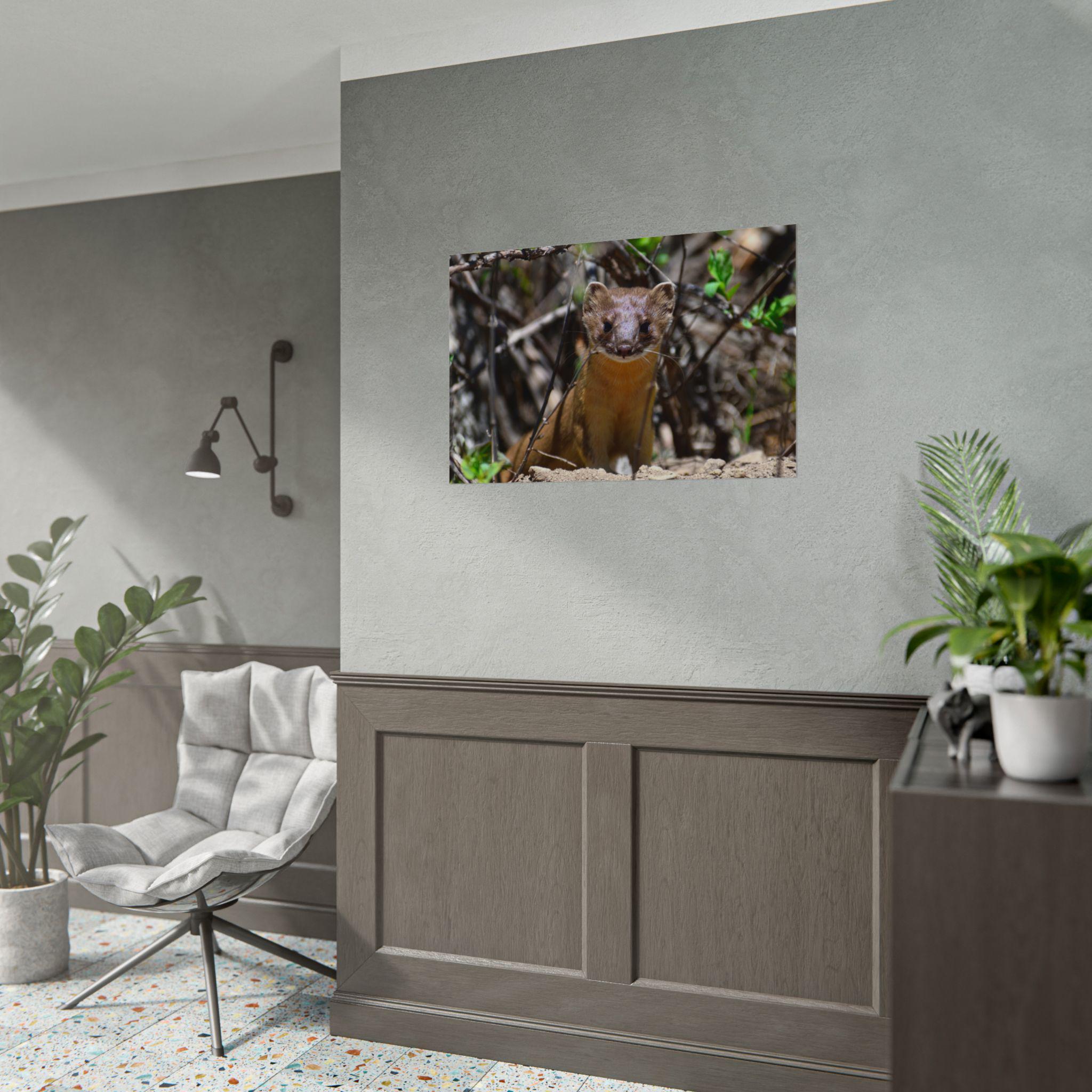 Long-tailed Weasel Poster - Etsy