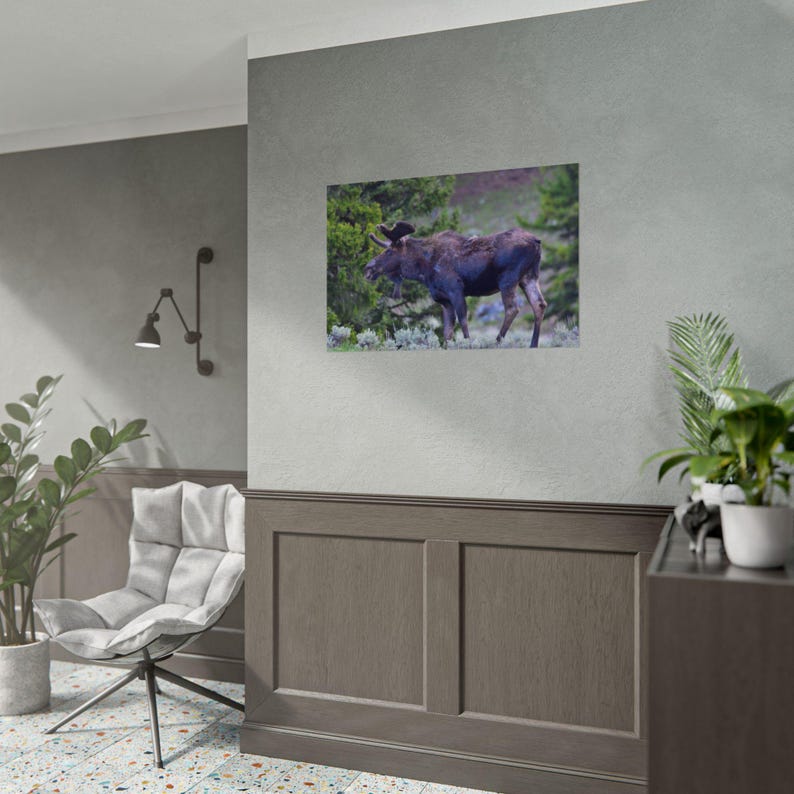Yellowstone Bull Moose Poster - Etsy