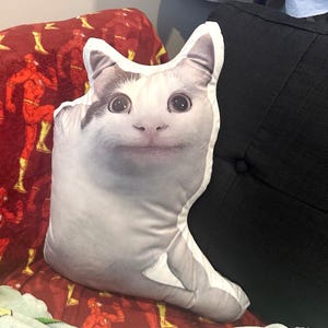 Photo Customization DIY Cat Pillow, Cushion Pet Plush Toys Doll ...