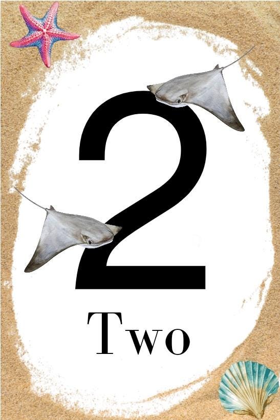 Ocean Theme Numbers - Etsy