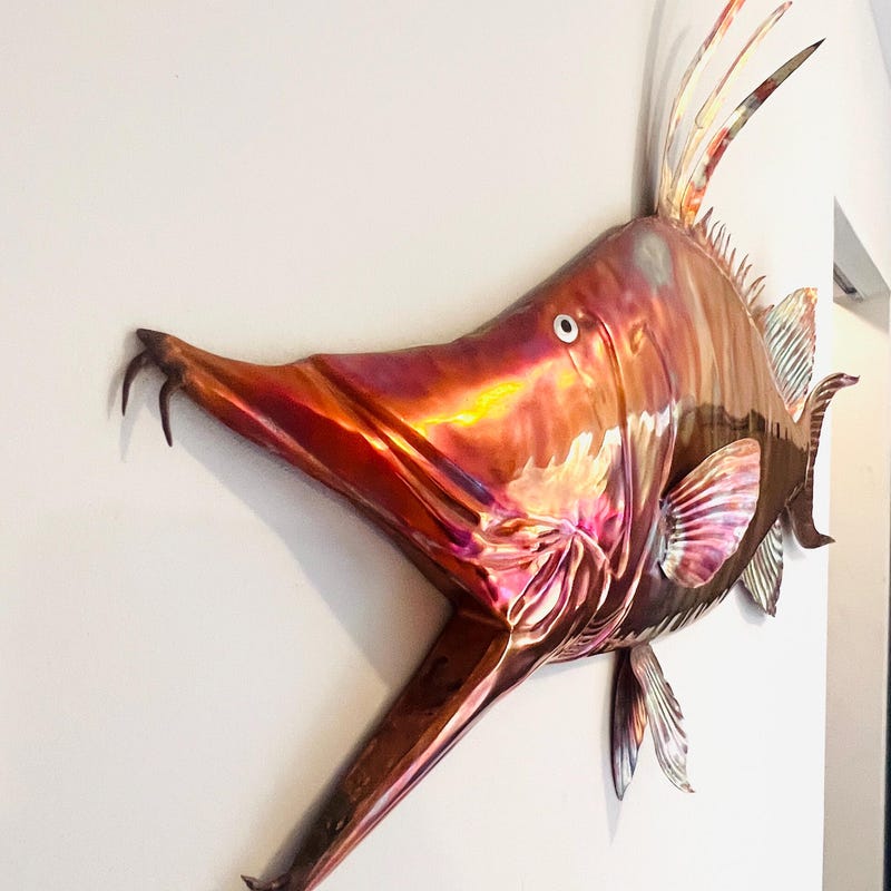 Hogfish - Etsy