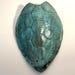 Hand Made Patina Copper Turtle Shell - Etsy