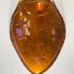 Handmade Copper Turtle Shell - Etsy