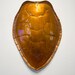Handmade Copper Turtle Shell - Etsy
