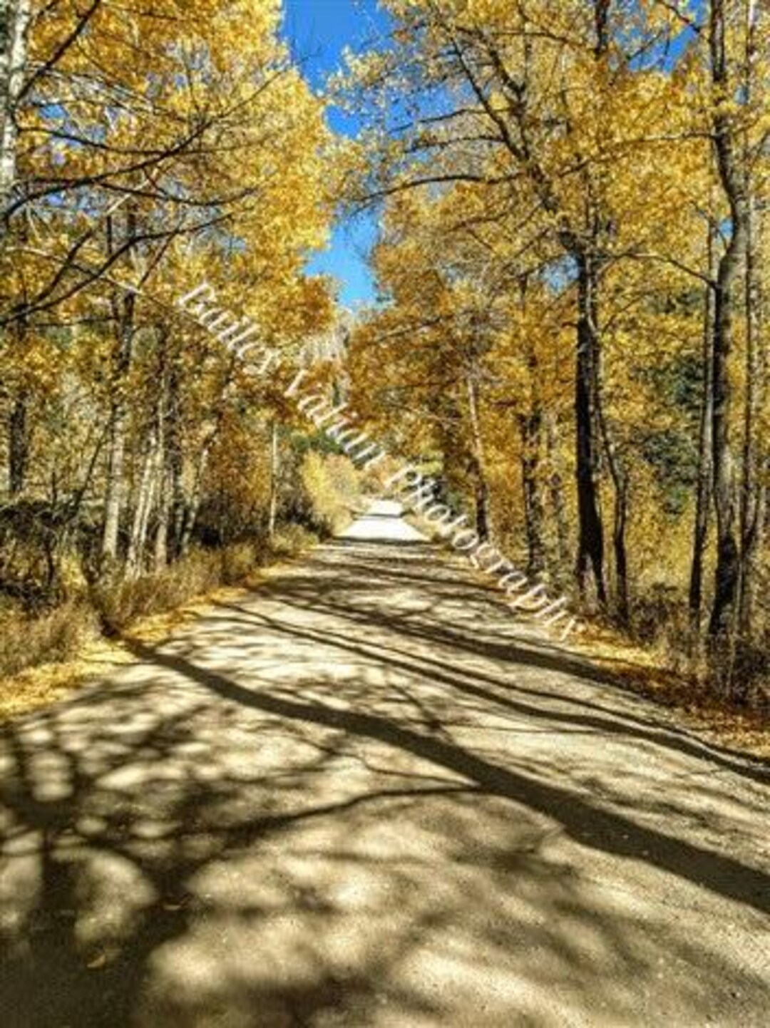 Fallow the Yellow Brick Road - Etsy