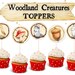 Woodland TOPPERS Birthday Instant Download Printable Diy - Etsy