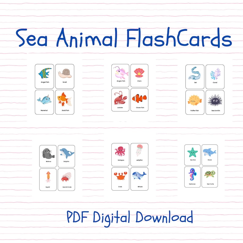 Sea Animal Flashcards Digital PDF Download - Etsy
