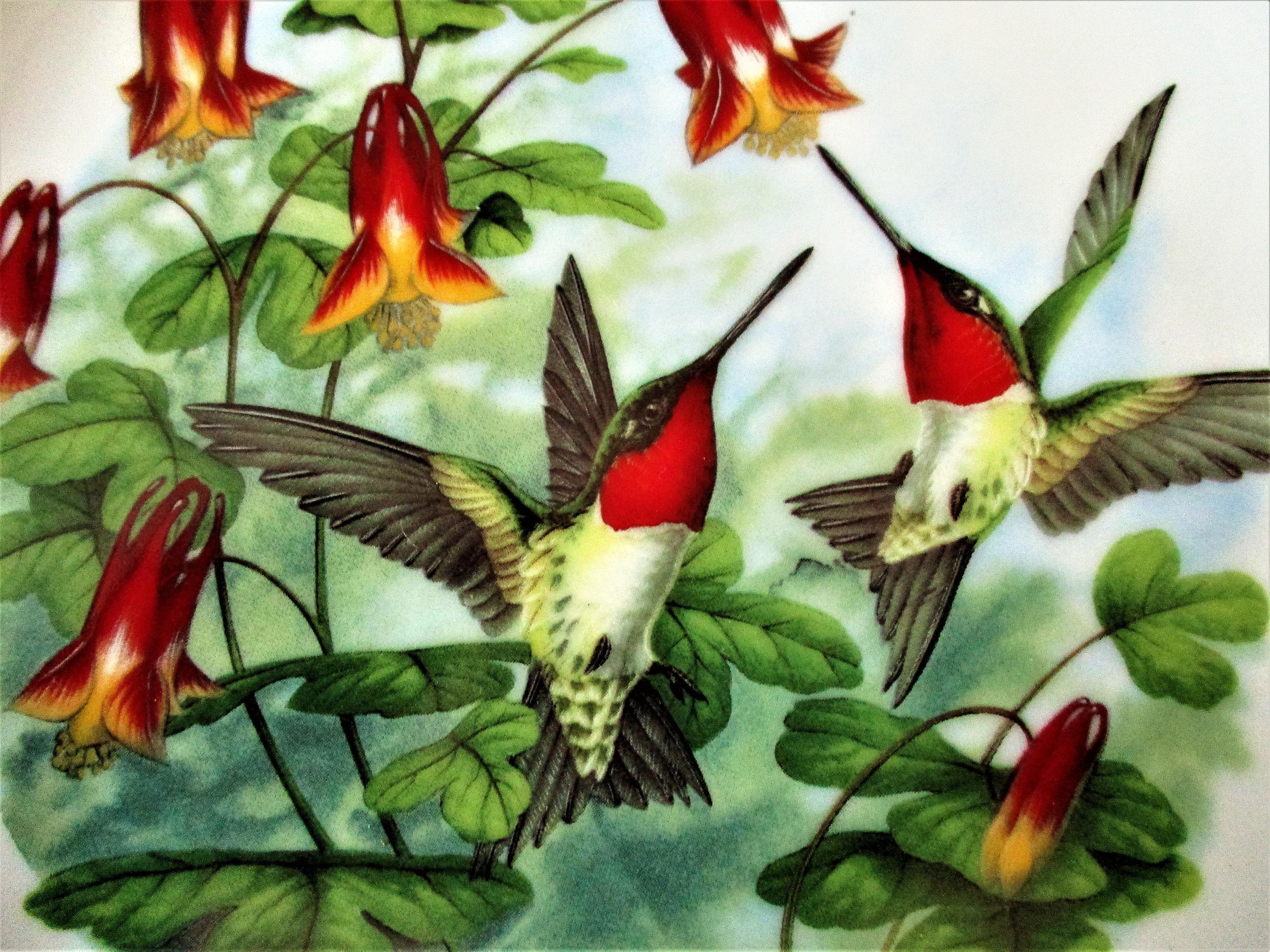 Vintage The Jeweled Hummingbird China Collectors Plate 1988 - Etsy ...