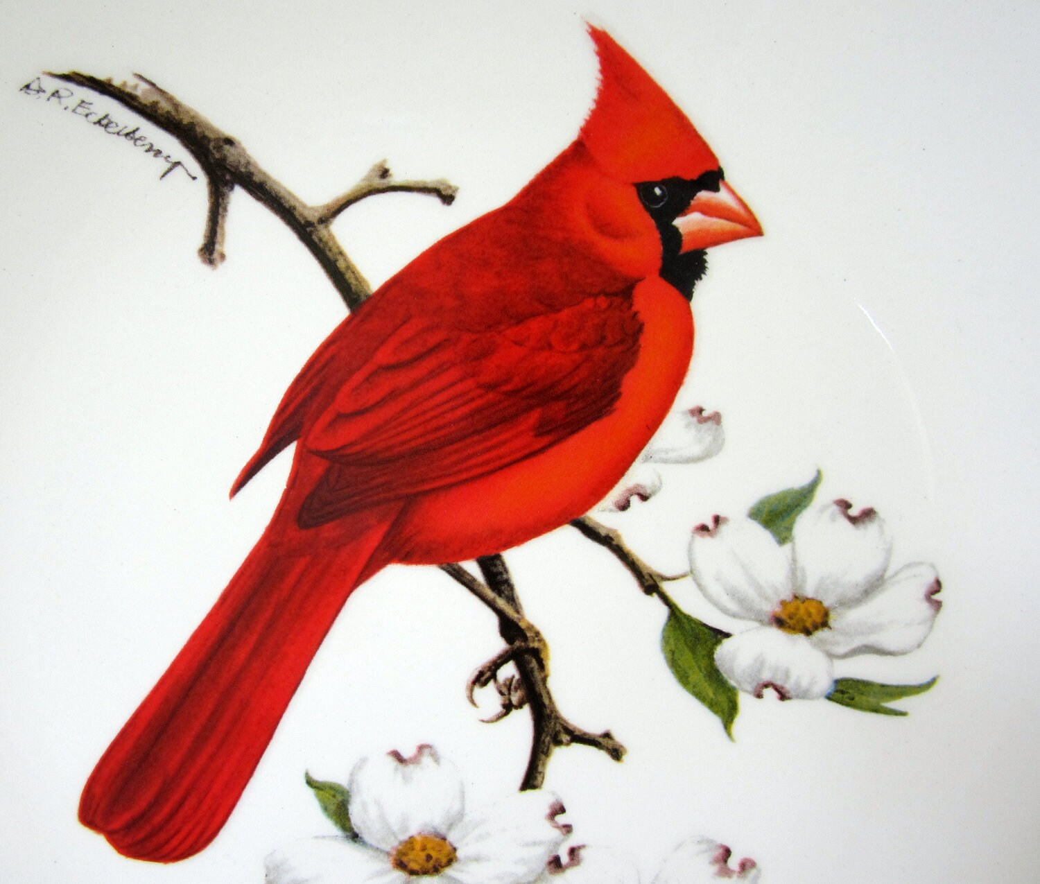 Collectibles Collectible Plates Vintage Avon Red Cardinal Collector ...