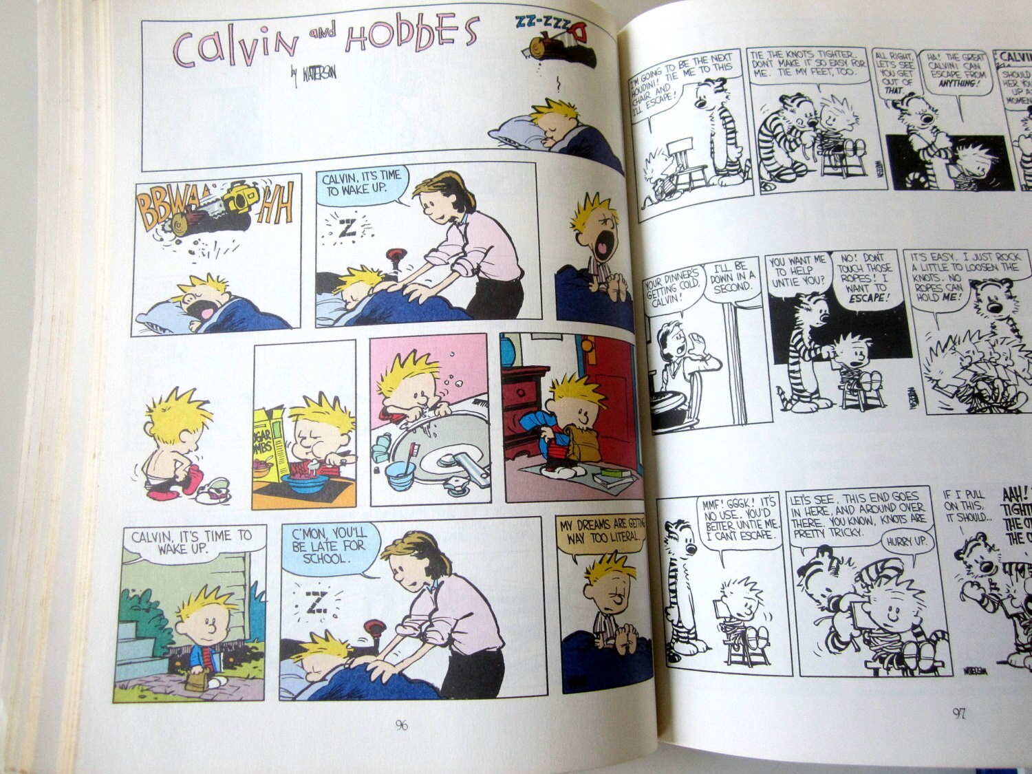 Calvin And Hobbes Relaxing