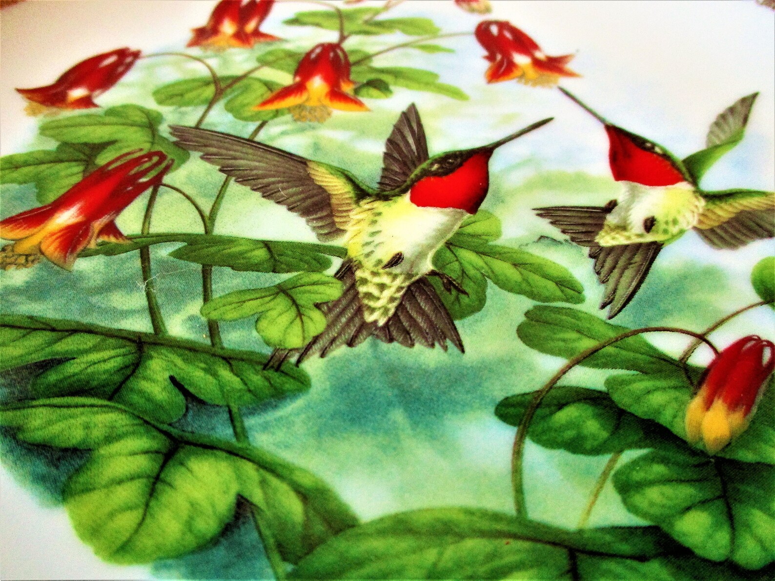 Vintage The Jeweled Hummingbird China Collectors Plate 1988 - Etsy ...