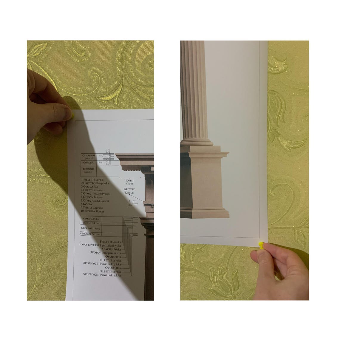 Educational Poster Featuring the Names and Components of the Classical ...