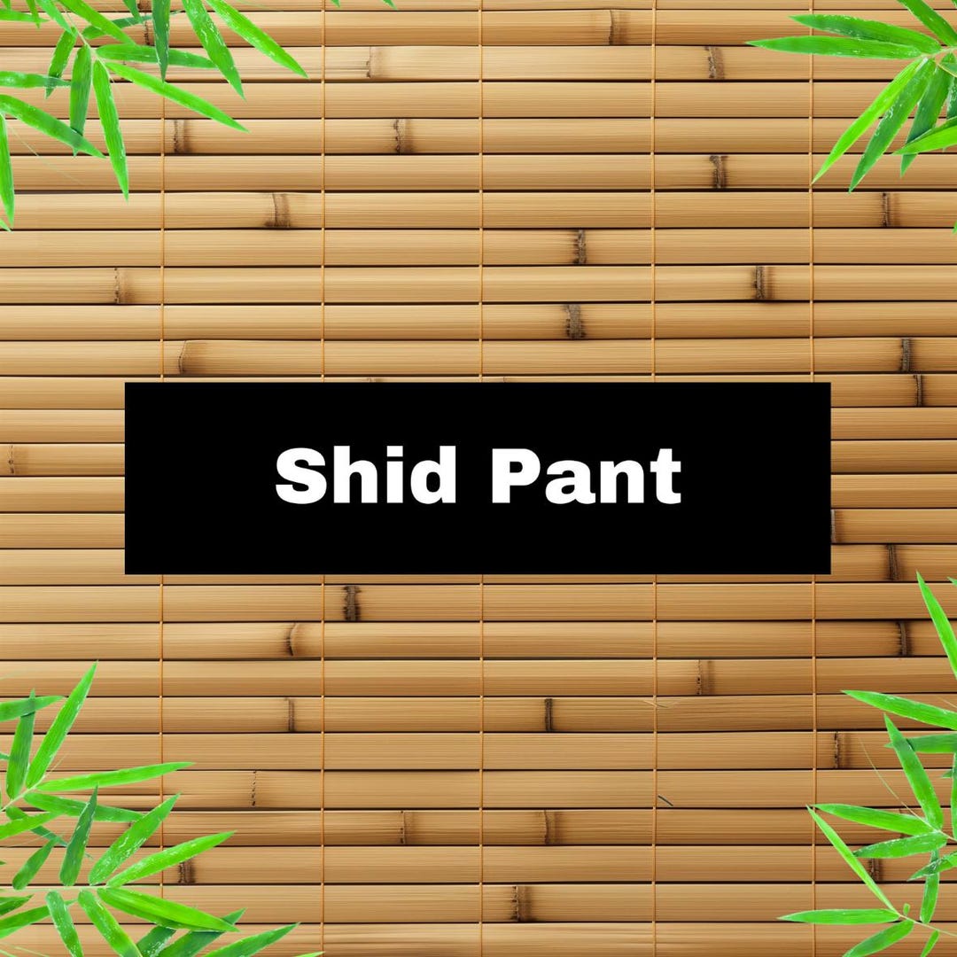 Shid Pant Bumper Sticker, Funny Random Meme, Shit Pants Joke, Oddly ...