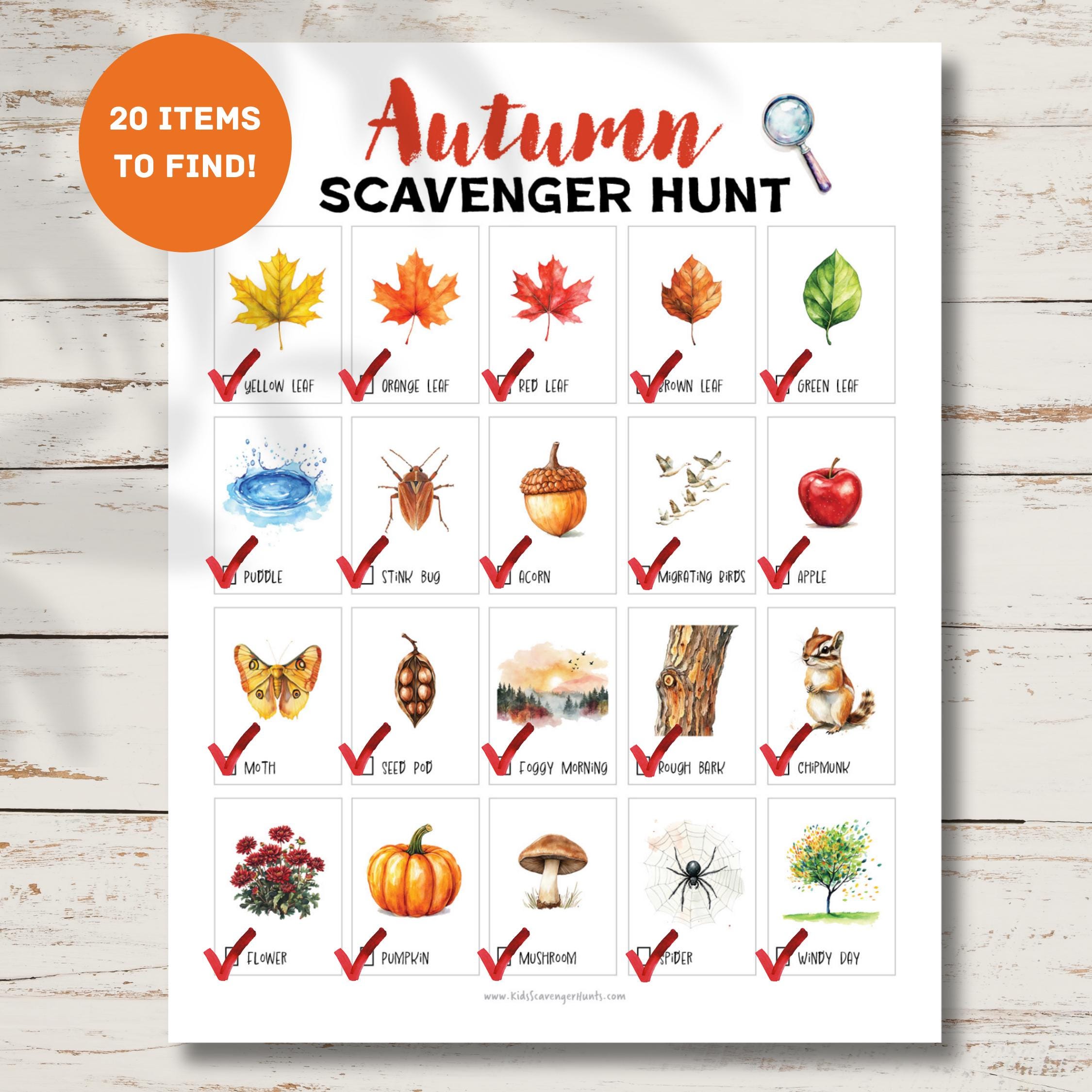 Printable AUTUMN Nature Scavenger Hunt for Kids Outdoor Scavenger Hunt ...