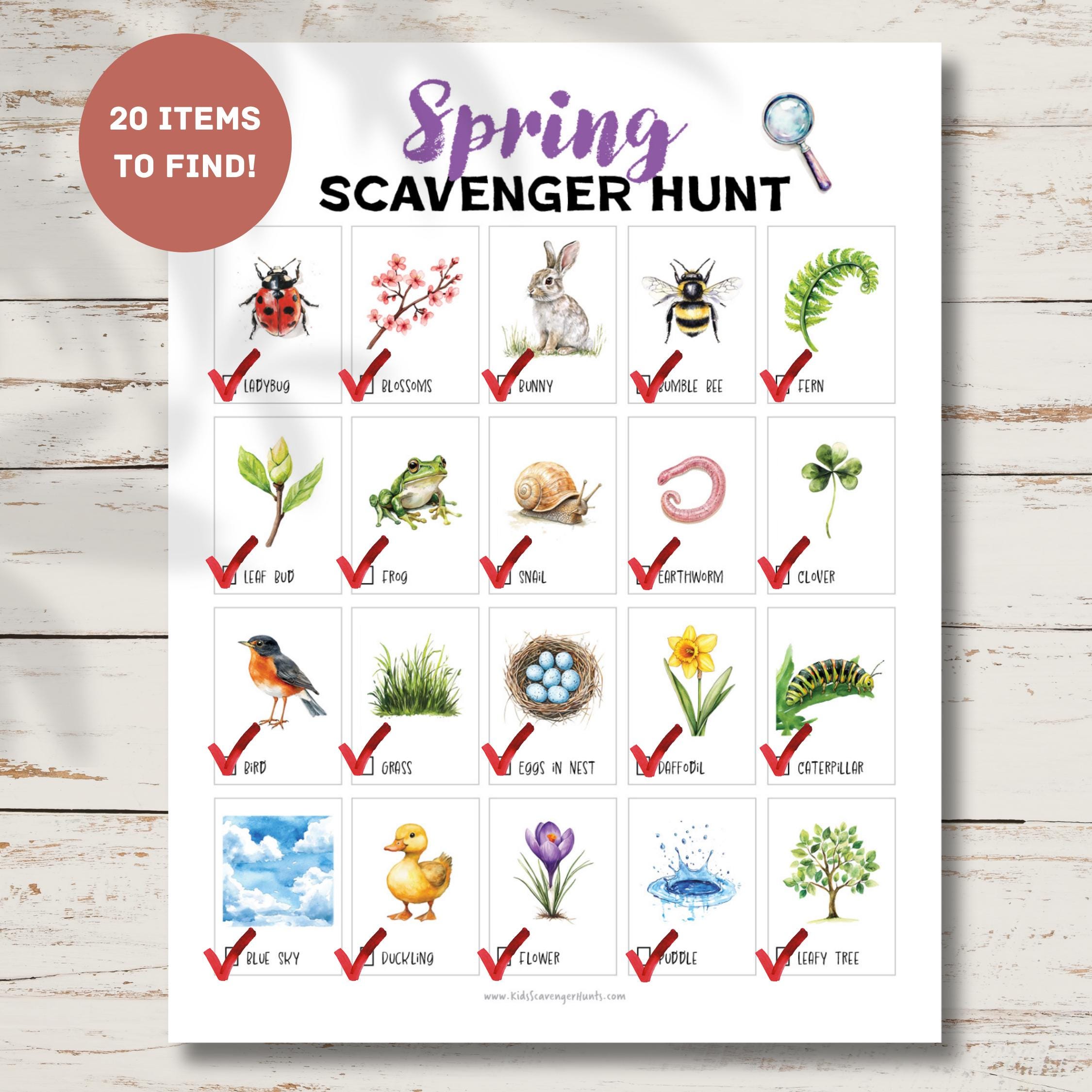 Printable SPRING Nature Scavenger Hunt for Kids Outdoor Scavenger Hunt ...