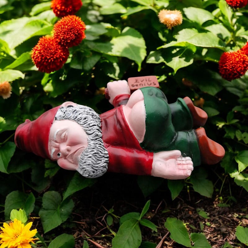 Rude Garden Gnomes - Etsy