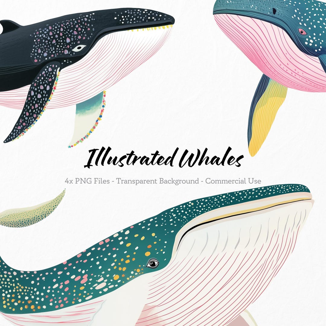 Whale Clipart Set | Ocean Art | Sea Creature Nature Clipart ...