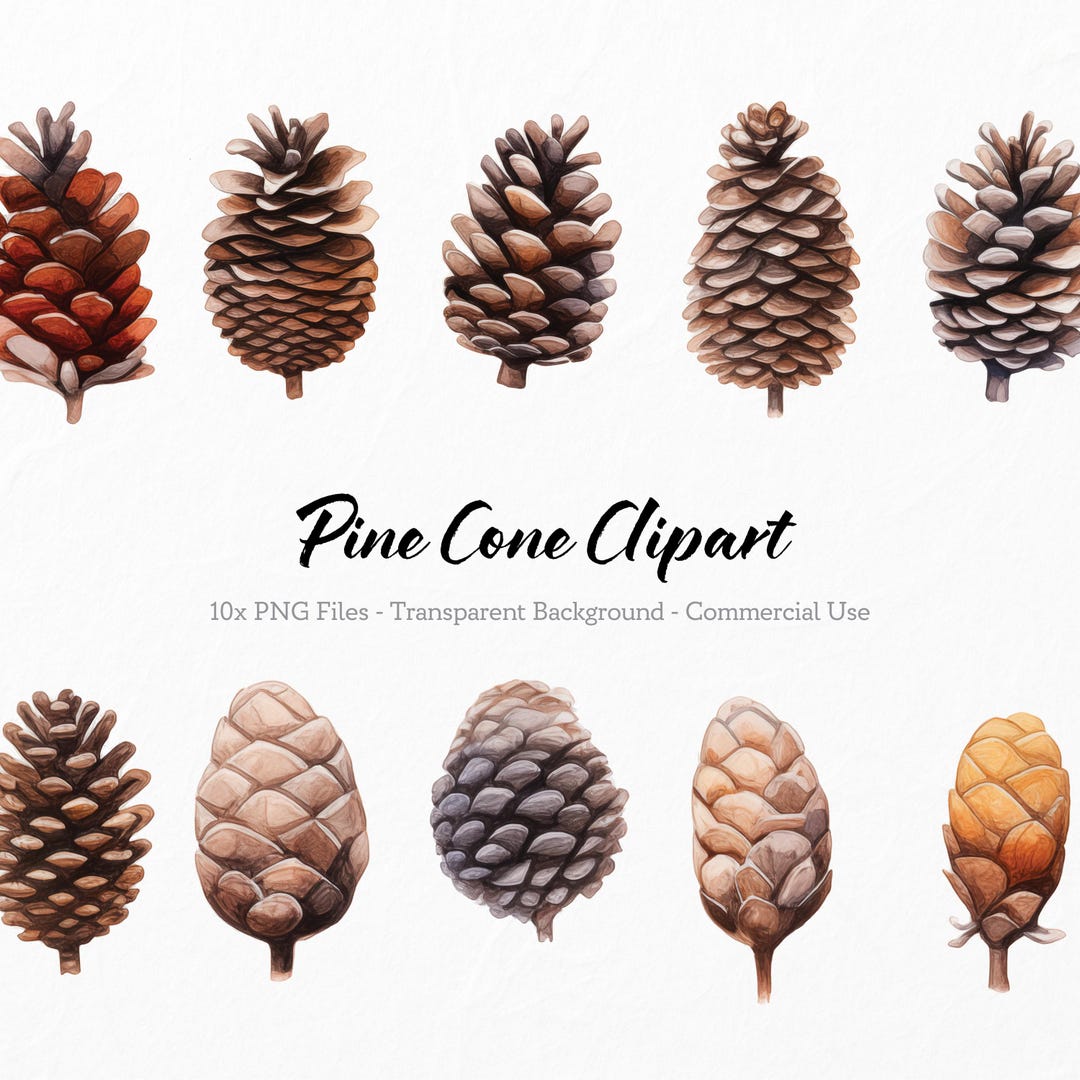 Pinecones Clipart Set | Tree Art | Nature Plants Flowers Clipart ...