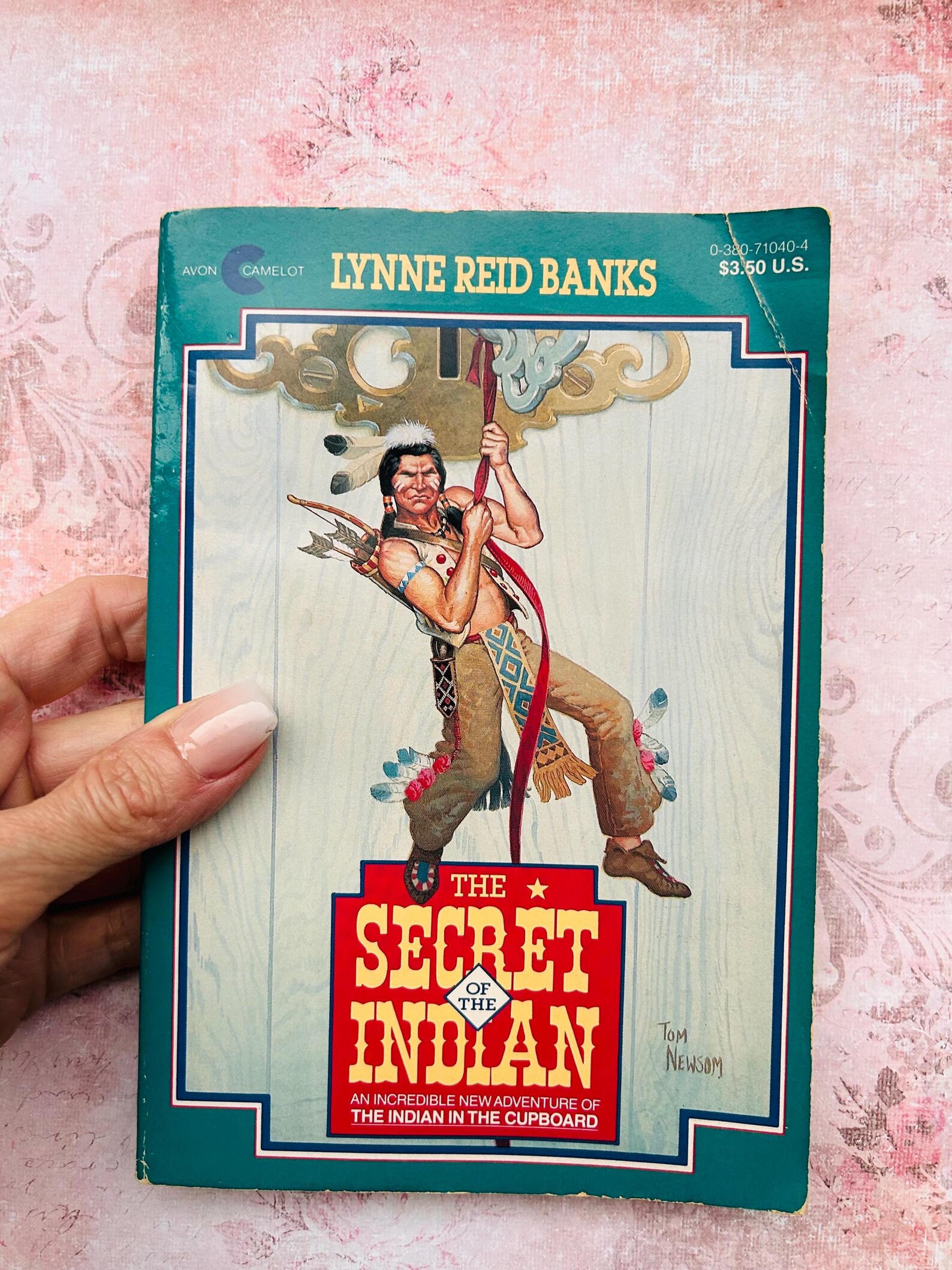 The Secret of the Indian Book - Etsy