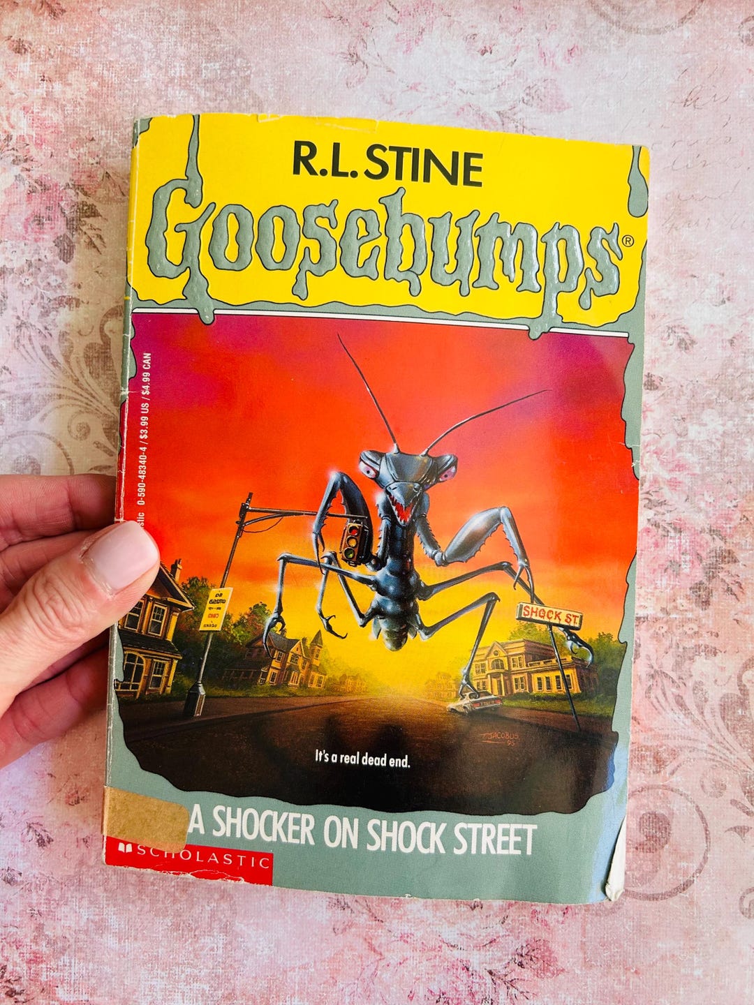 RL Stine Goosebumps A Shocker on Shock Street Book - Etsy