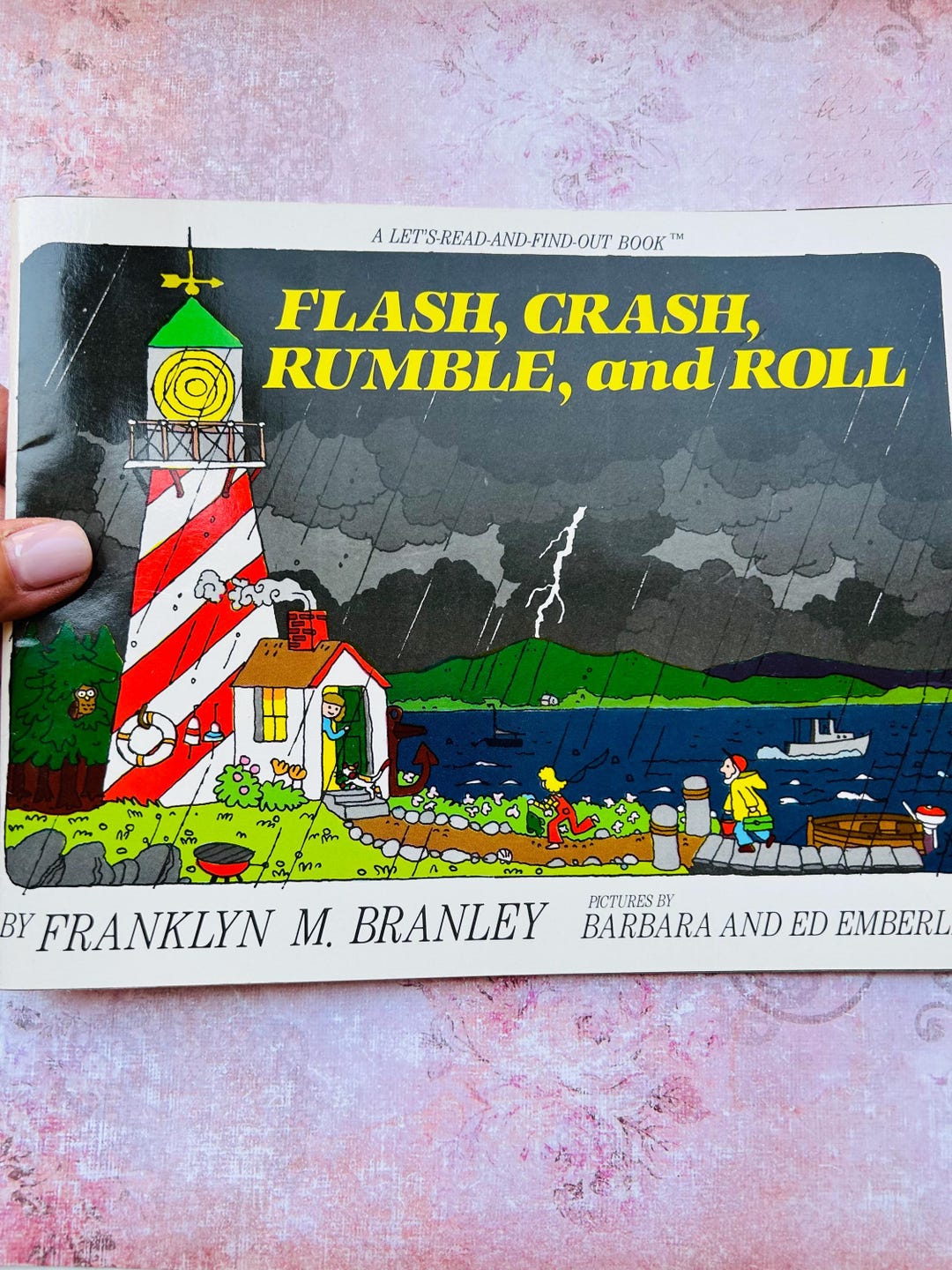 Flash Crash Rumble and Roll Book - Etsy