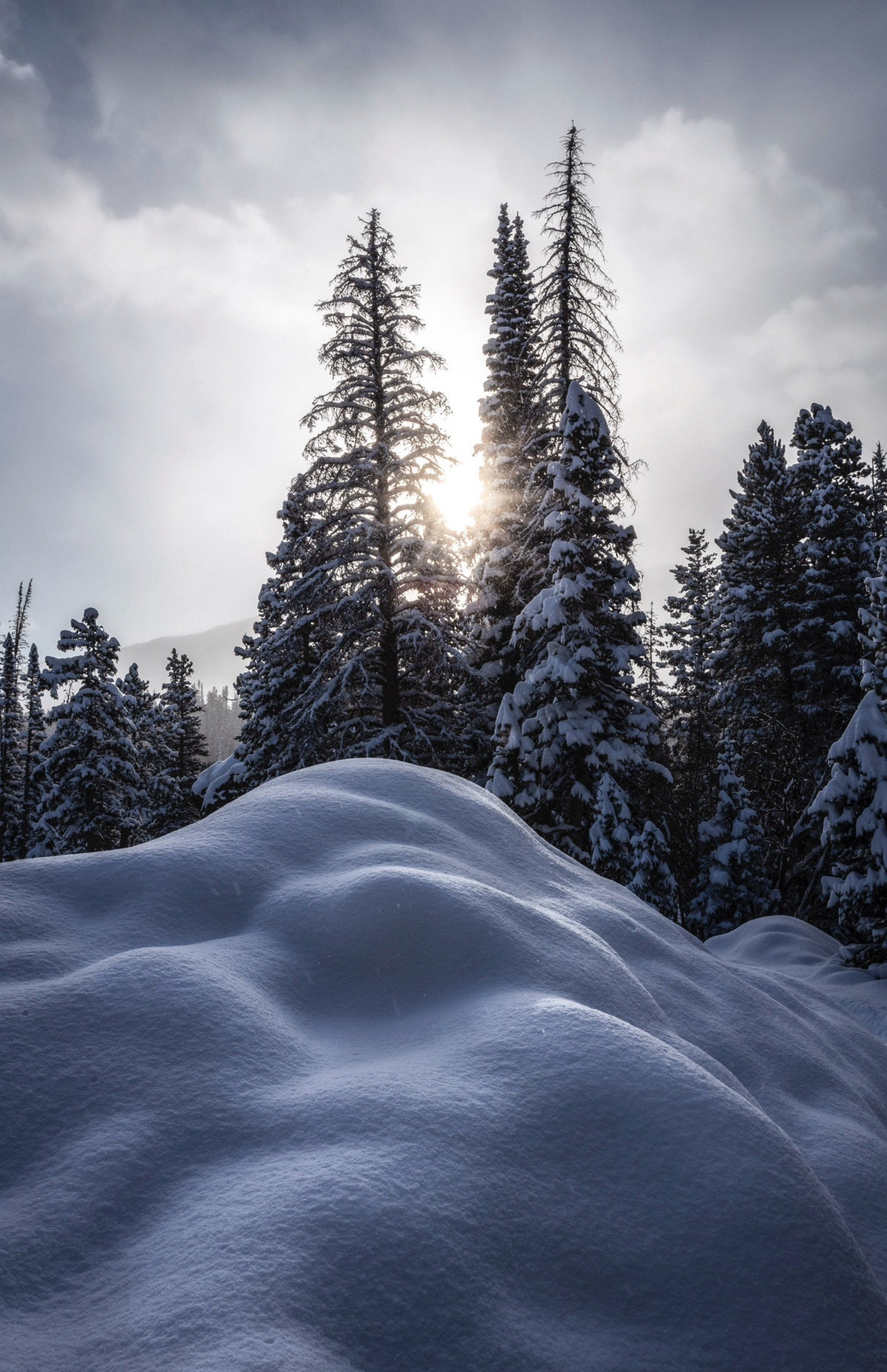 Winter Spires Prints - Etsy