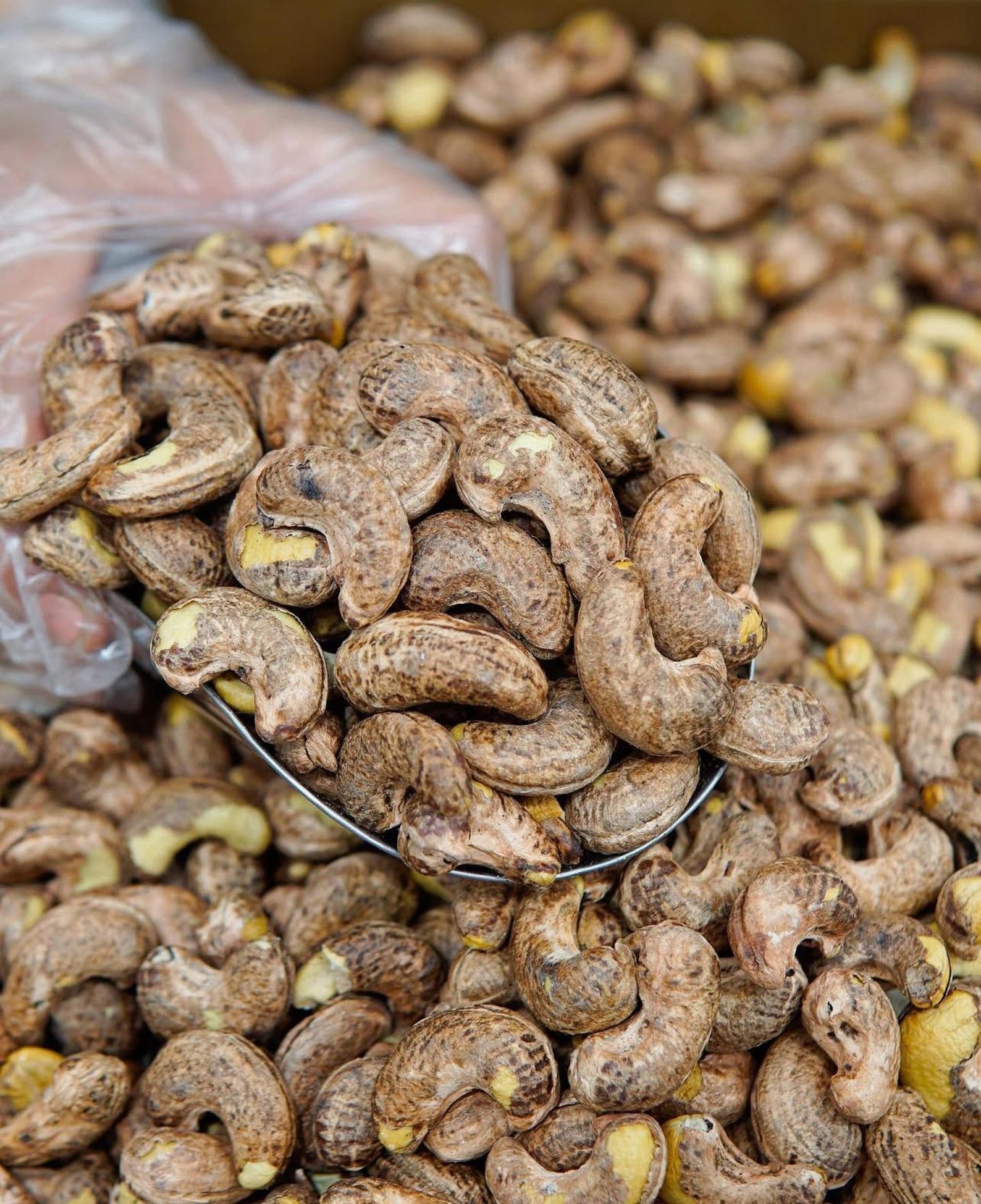 Roasted Cashews With Skin: Fresh, Salted, Natural Cashew Nuts - Etsy