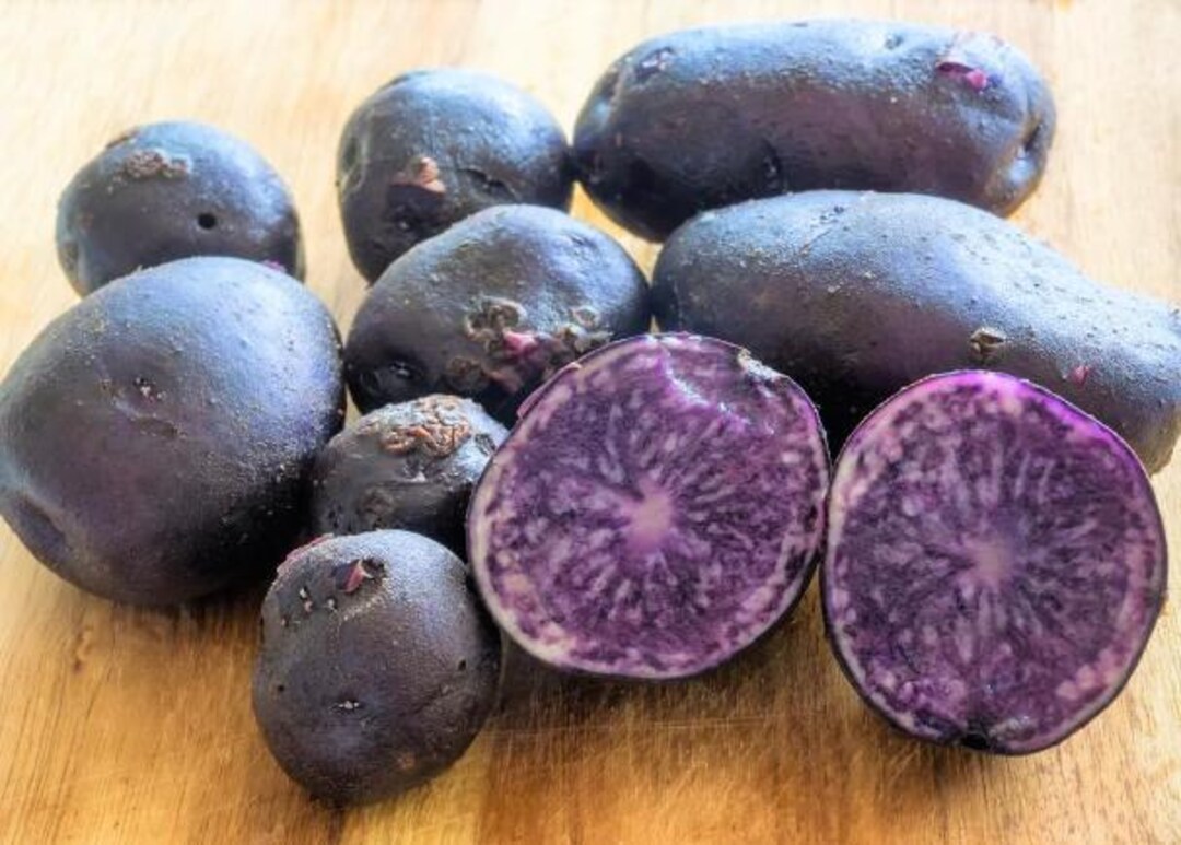 70 True Potato Seeds for Planting High-yield, Easy Plant, for Your Home ...