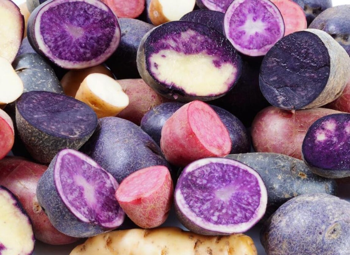 70 Mixed Color Potato Seeds for Planting - High-yield, Easy Plant, for ...