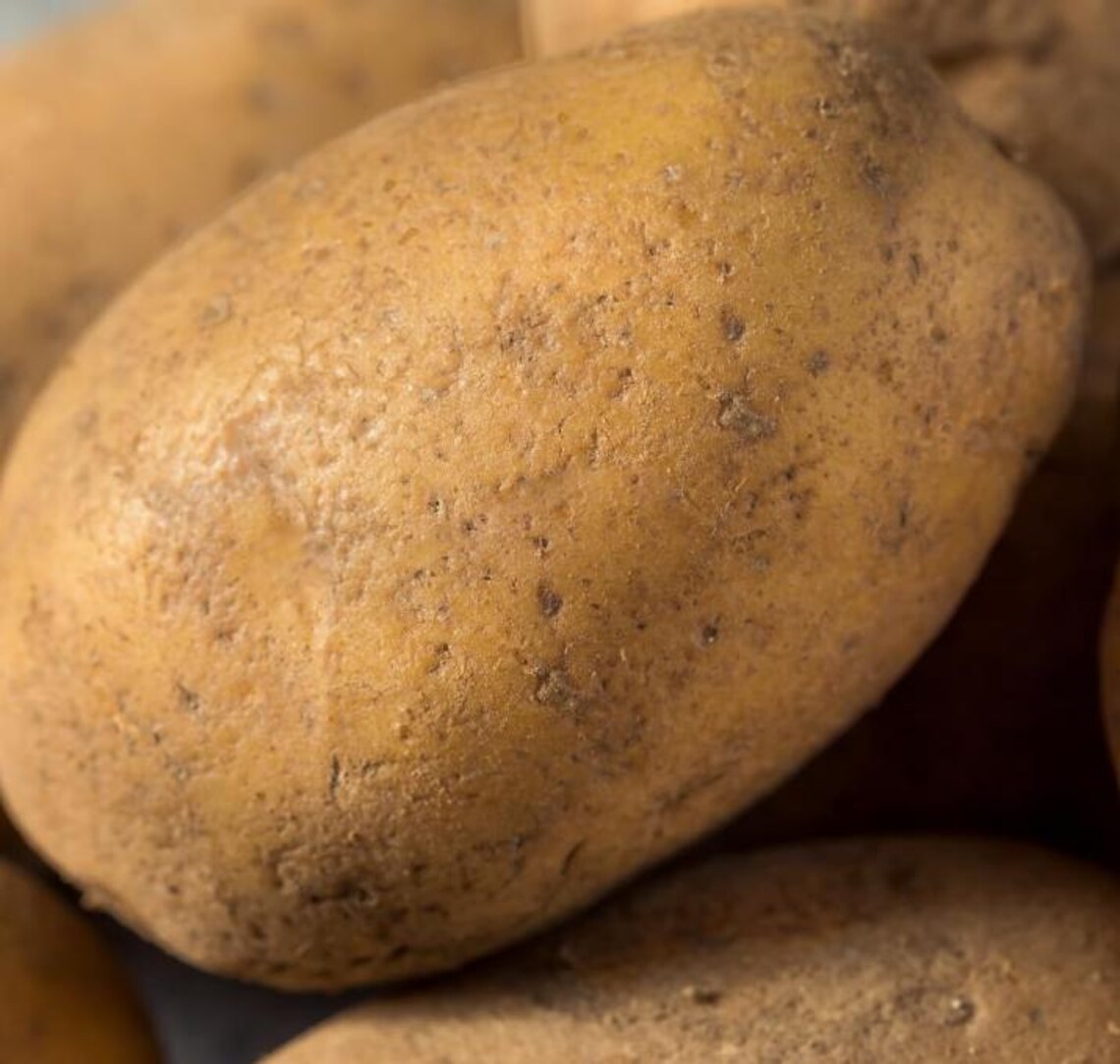 70 True Potato Seeds for Planting - High-yield, Easy Plant, for Your ...