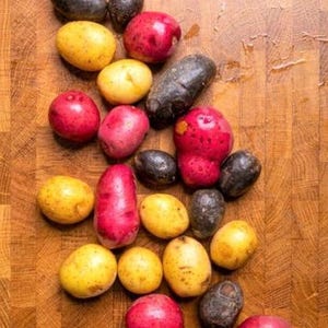 70 Mixed Color Potato Seeds for Planting - High-yield, Easy Plant, for ...