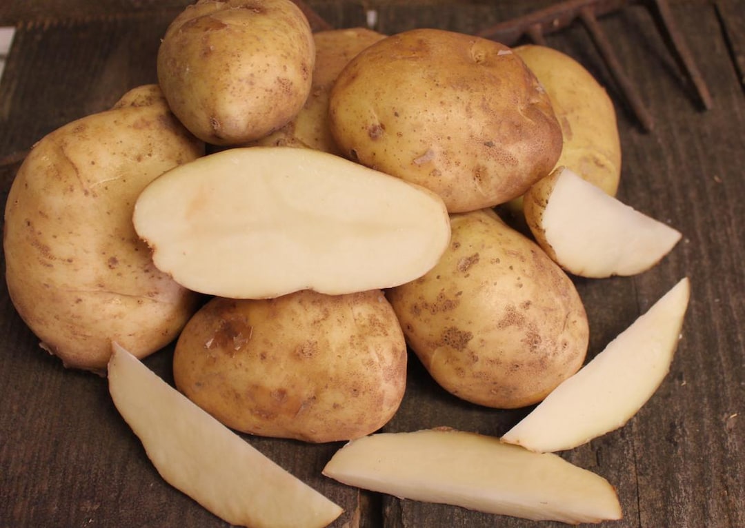 Seed Potatoes - 2 Pounds Kennebec , Potato Seeds for Planting and ...
