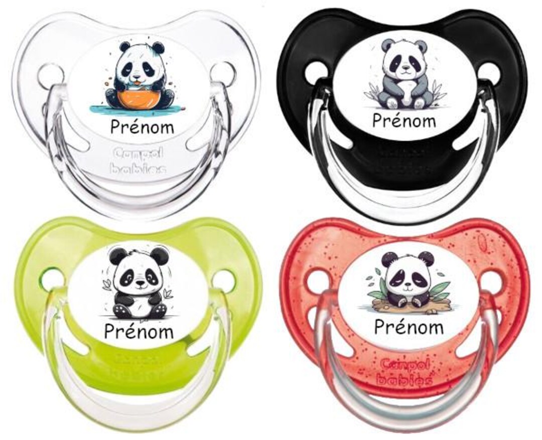 Set of 4 Personalized Panda Baby Pacifiers With First Name PAN001 - Etsy
