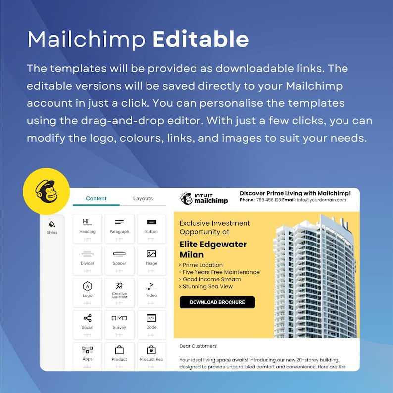 Mailchimp Editable Email Template for Businesses - Etsy