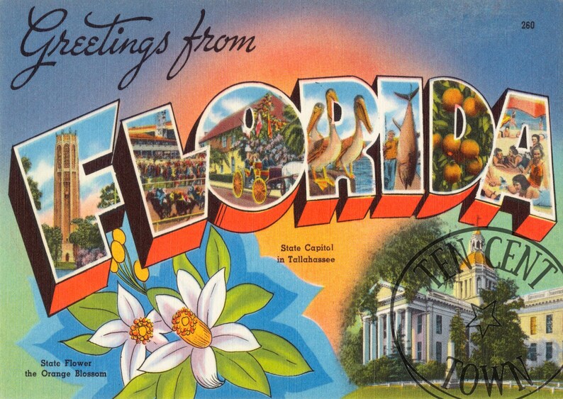 Greetings From Florida | Printable Vintage Postcard Digital Download ...