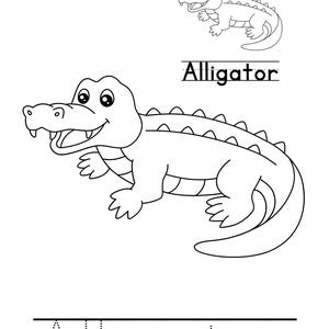 Alphabet and Animals Coloring and Tracing Book - Etsy