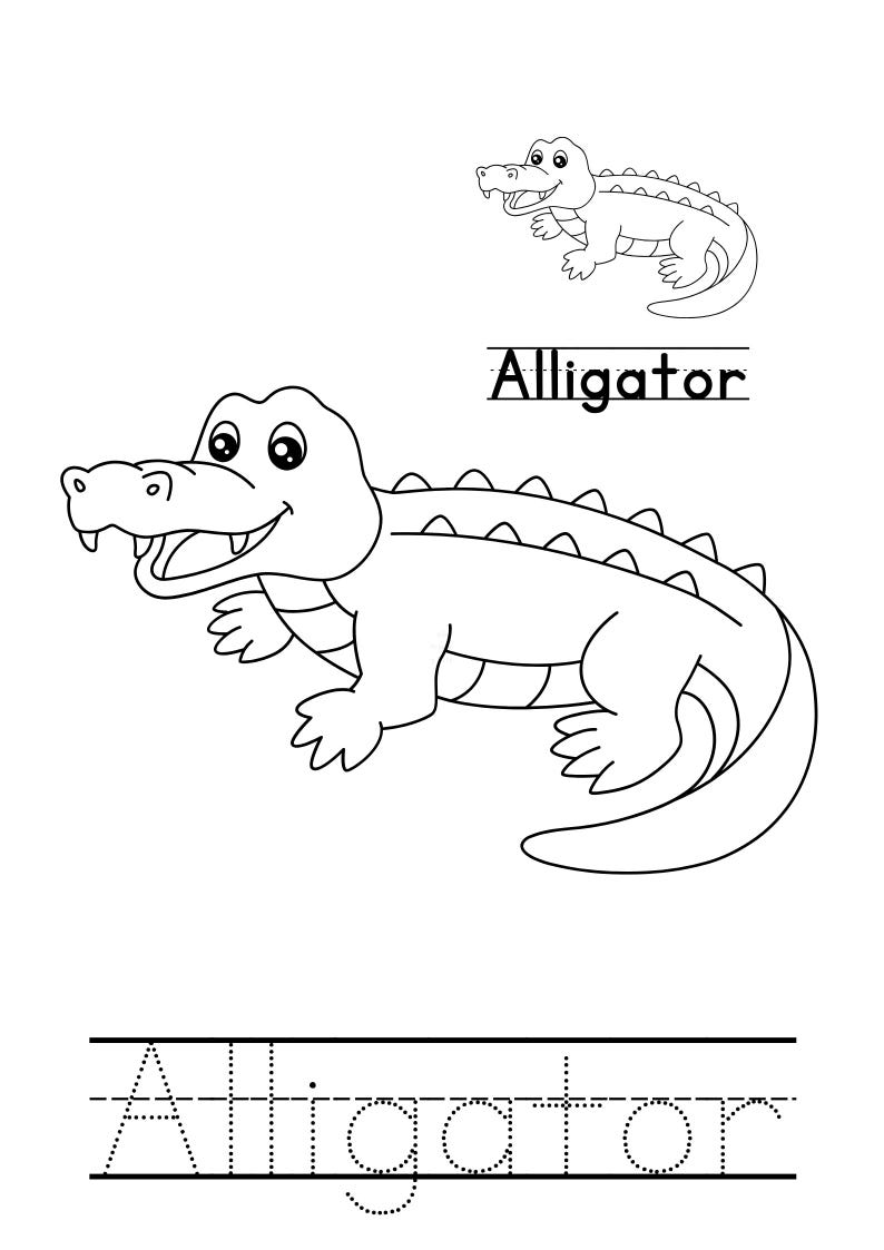 Alphabet and Animals Coloring and Tracing Book - Etsy