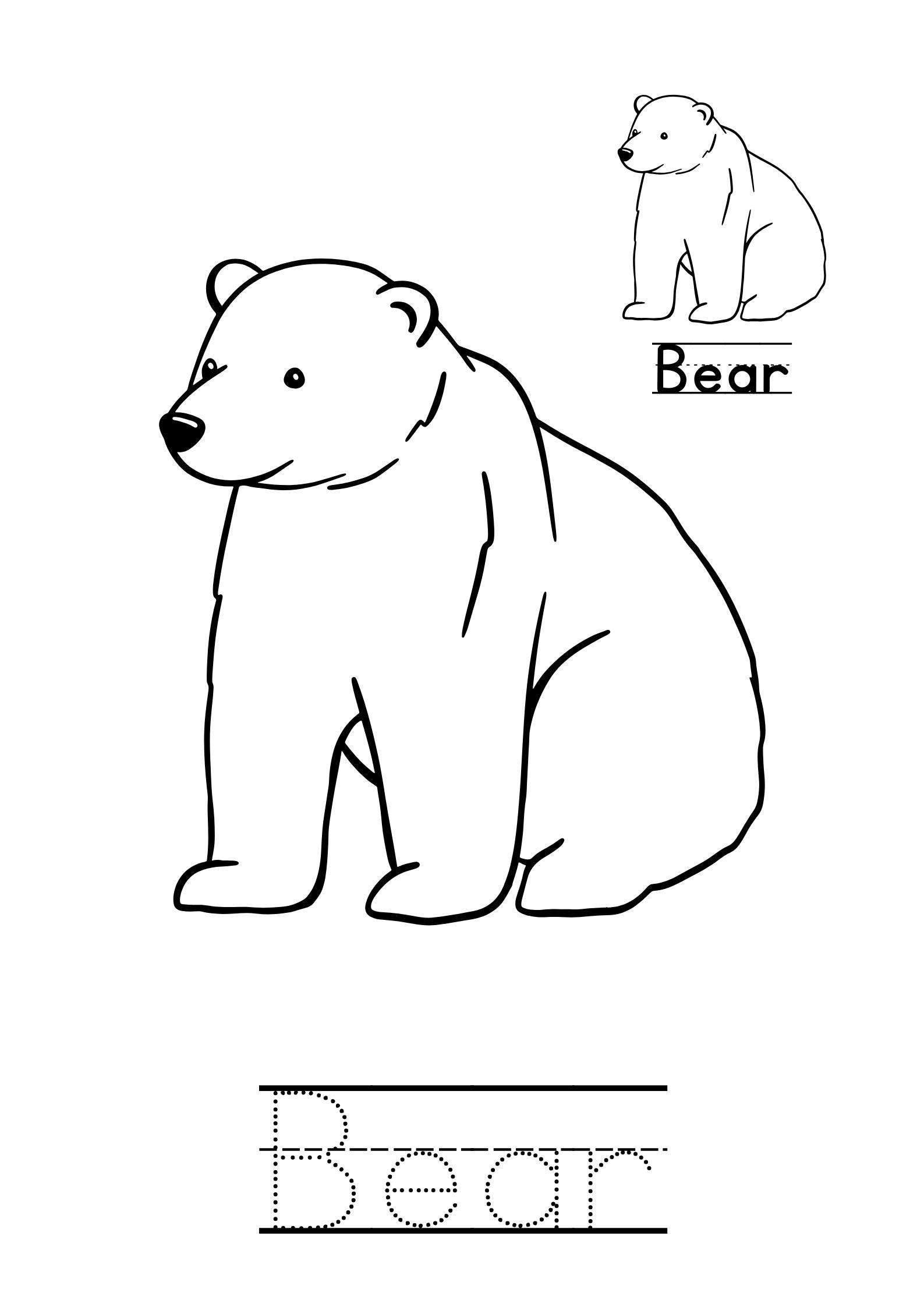 Alphabet and Animals Coloring and Tracing Book - Etsy