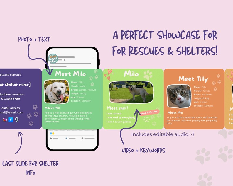 Pet Adoption Video Canva Template – Editable Shelter Promo Slides for ...
