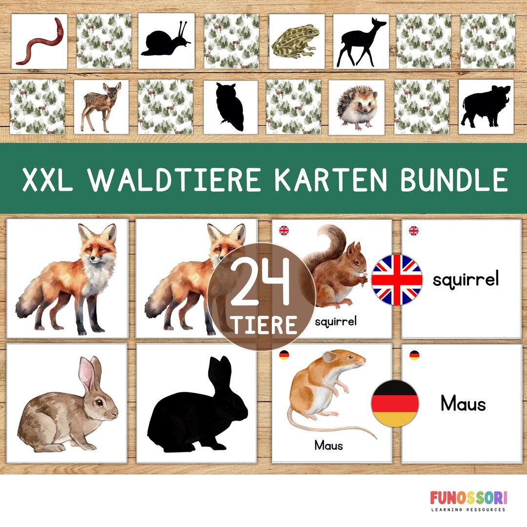 Forest Animals Matching Game Memory Shadow Picture Cards Learn English ...