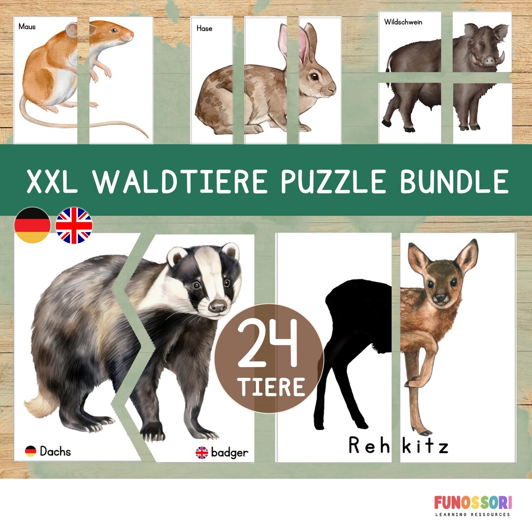 Forest Animals Puzzle Matching Game Shadow Picture Cards Learn English ...