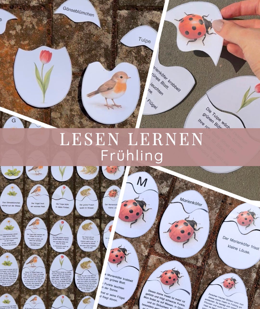 Learning Game for Children Learning to Read (spring) | Initial Sounds ...