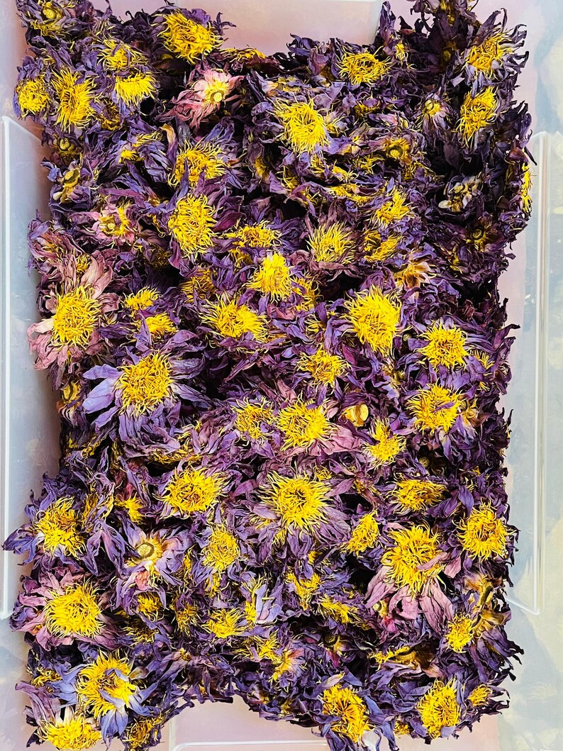 Egyptian Blue Lotus Flowers Nymphaea Caerulea Sacred Water Lotussacred ...