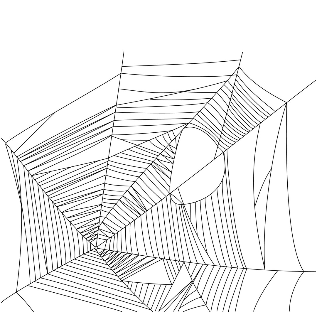 Spider Web Icon. Intricate and Abstract Web Design With Irregular Lines ...