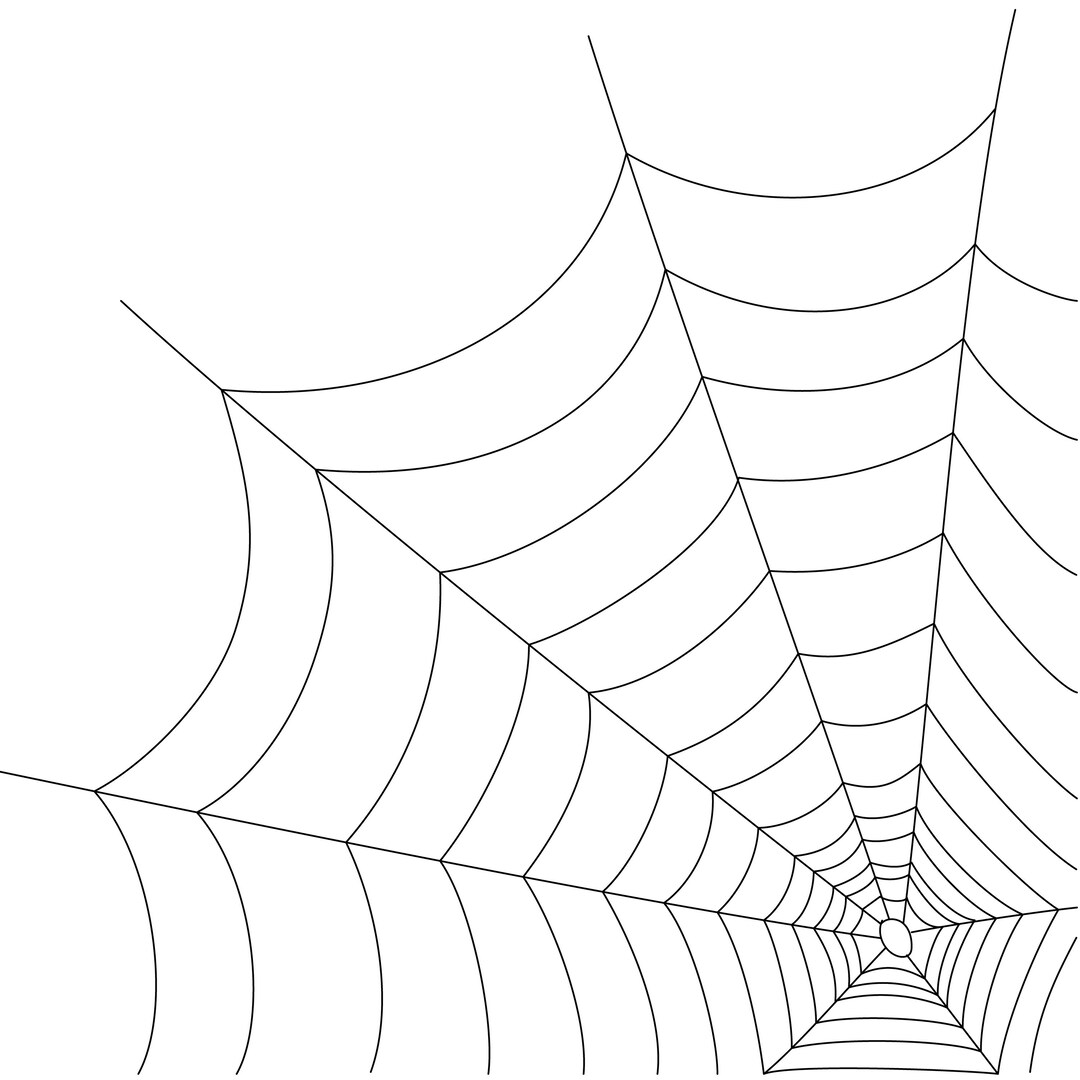 Spider Web Icon. Clean and Geometric Spider Web Design With Curved ...