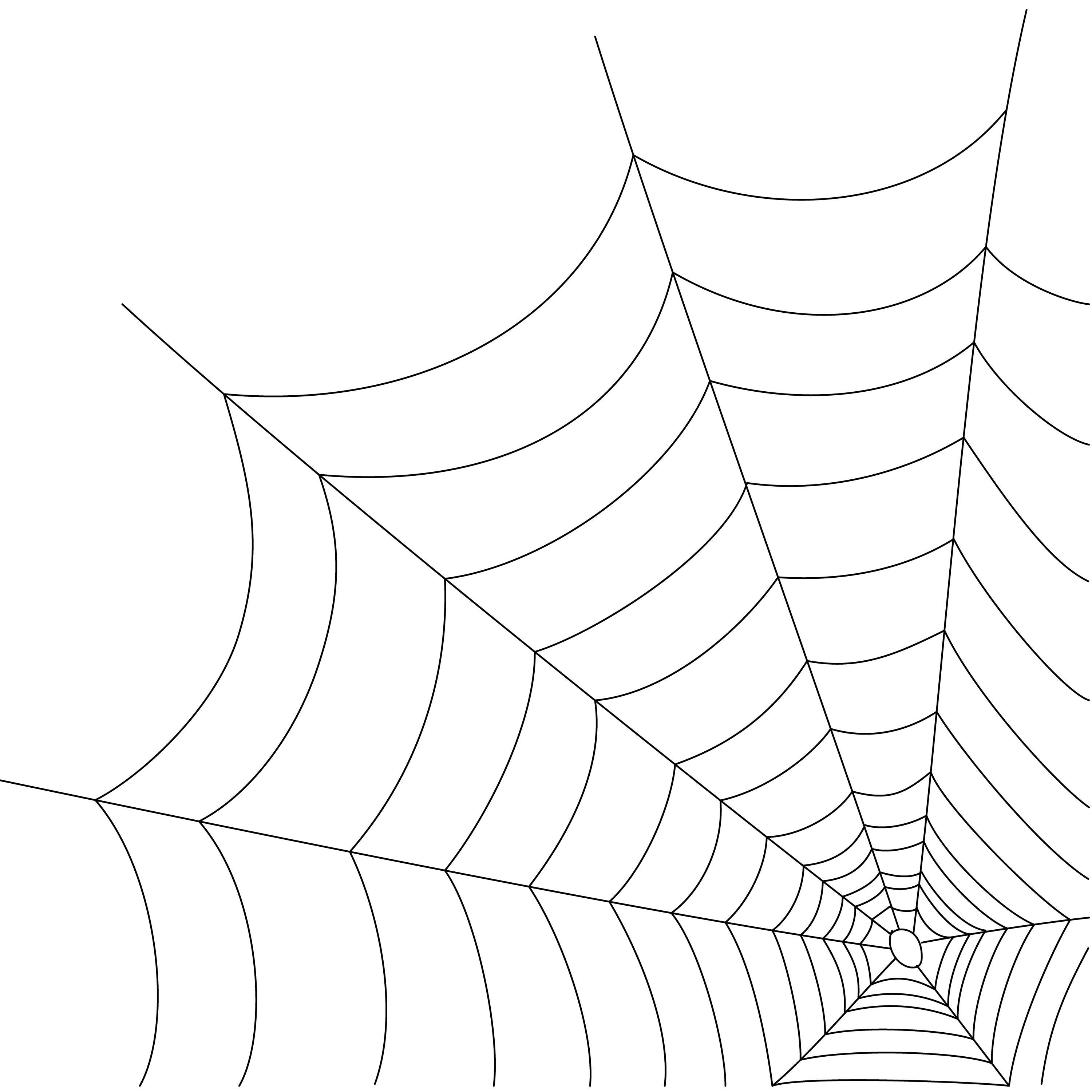 Spider Web Icon. Clean and Geometric Spider Web Design With Curved ...