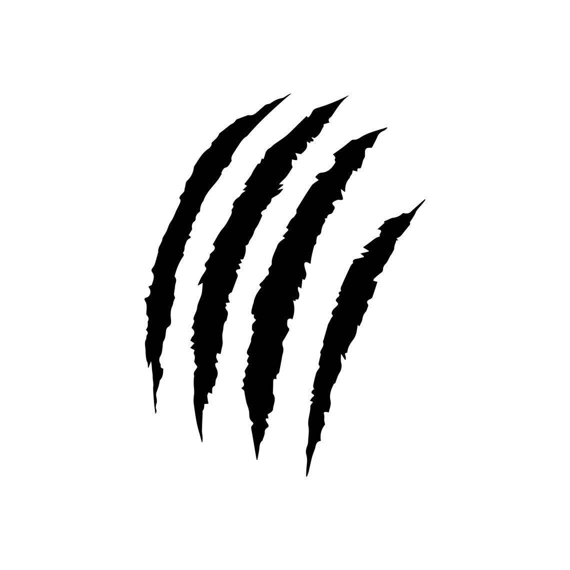 Scratch Claws. Detailed Scratch Claws Print for T-shirt, Banner, Logo ...