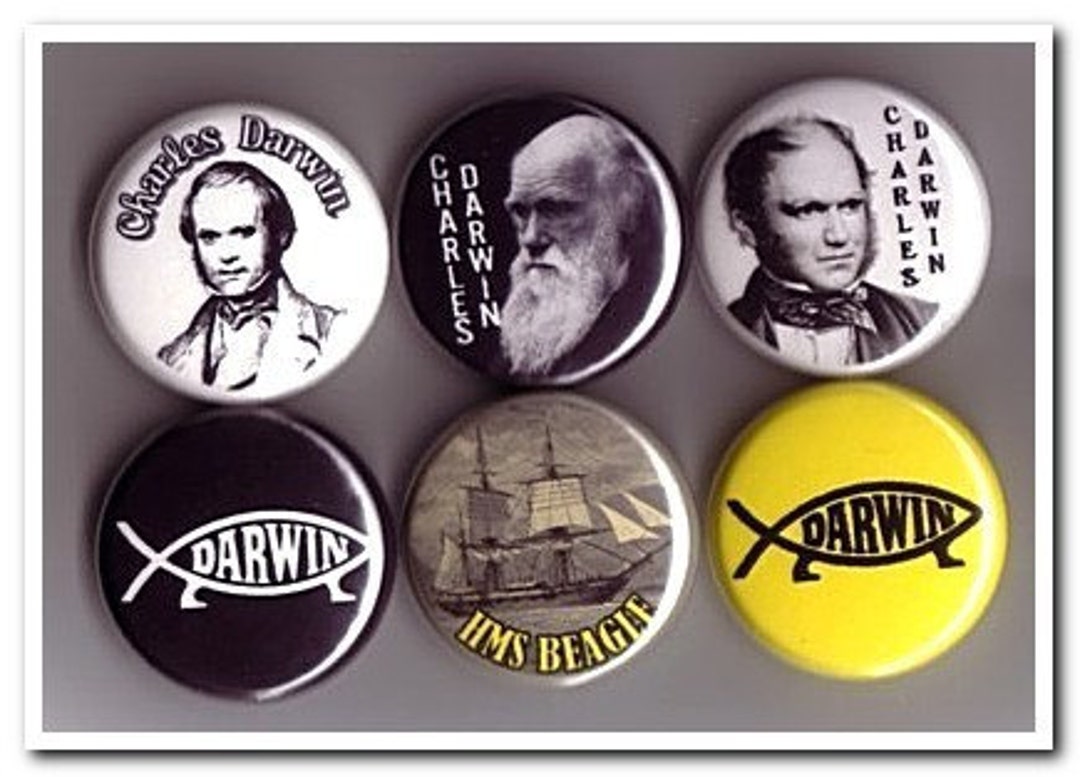 Charles Darwin Buttons, Pins, Badges, Naturalist, Origin of Species ...
