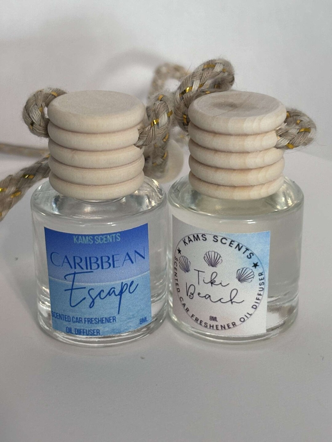 Tropical Hanging Car Oil Diffuser Bundle - Etsy